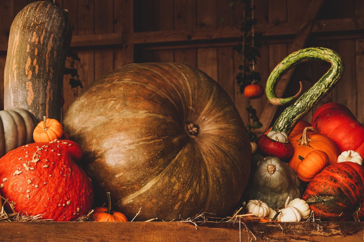 Ultimate Guide to Fall in the Pocono Mountains | Pocono Mountain Rentals